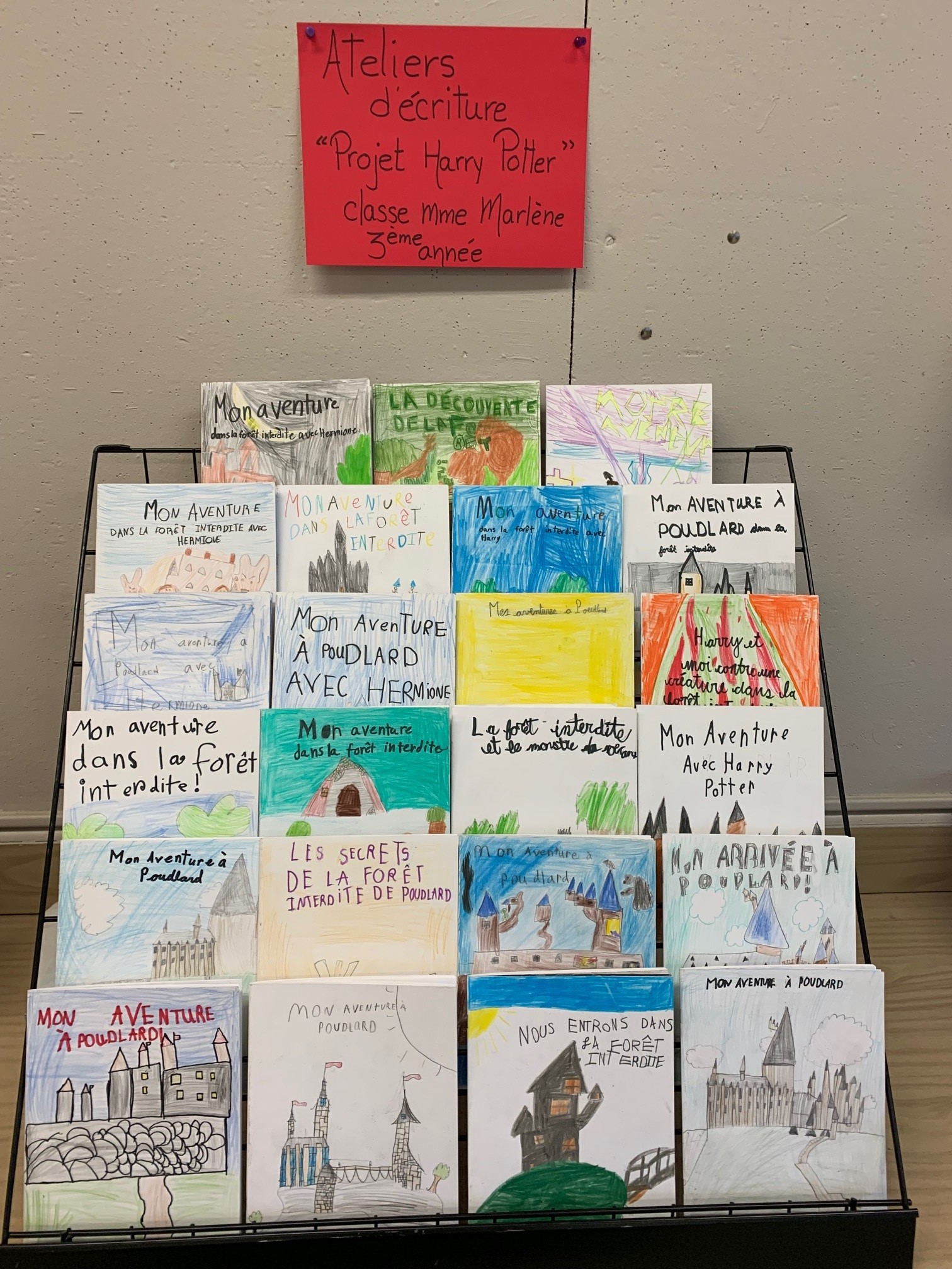 Projet Harry Potter - École primaire Des Coeurs-Vaillants