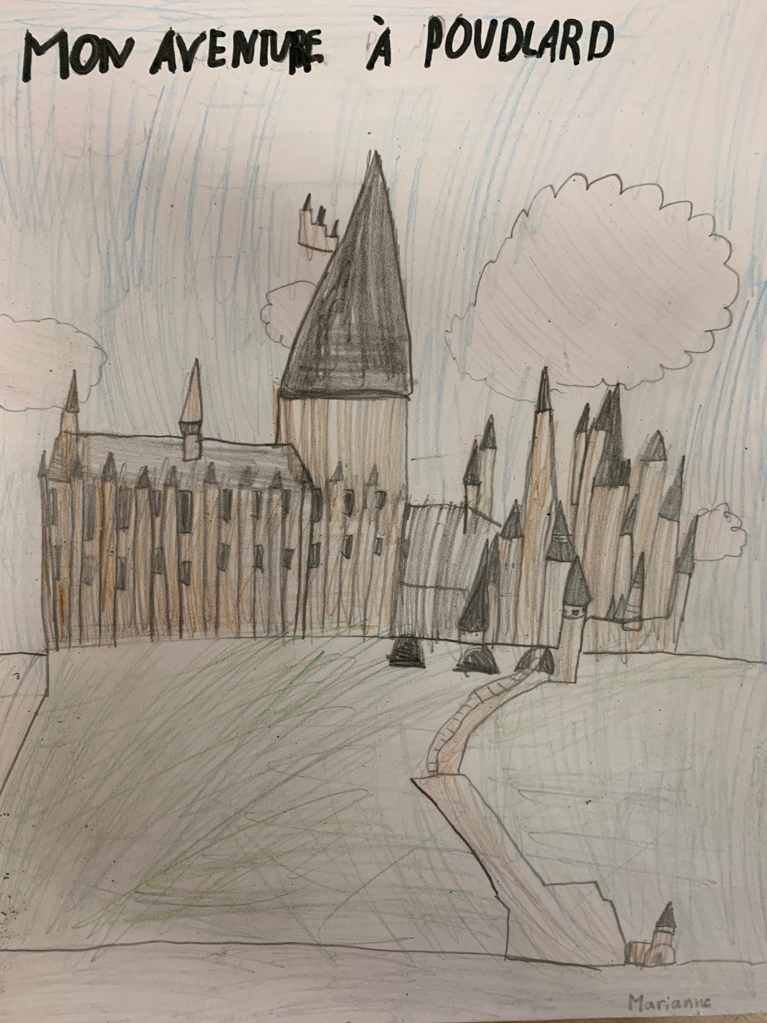 Projet Harry Potter - École primaire Des Coeurs-Vaillants